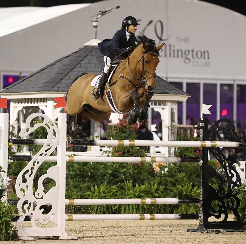 Laura Chapot in the WEF spotlight | Nancy Jaffer - Equestrian Sports