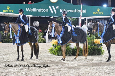 Hunter teams have a promising WEF debut - Nancy Jaffer - Equestrian Sports